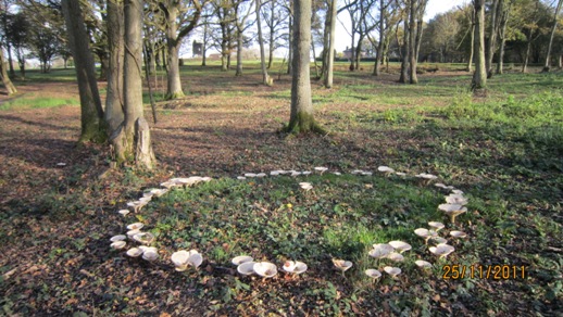 February 2012 - Outwood